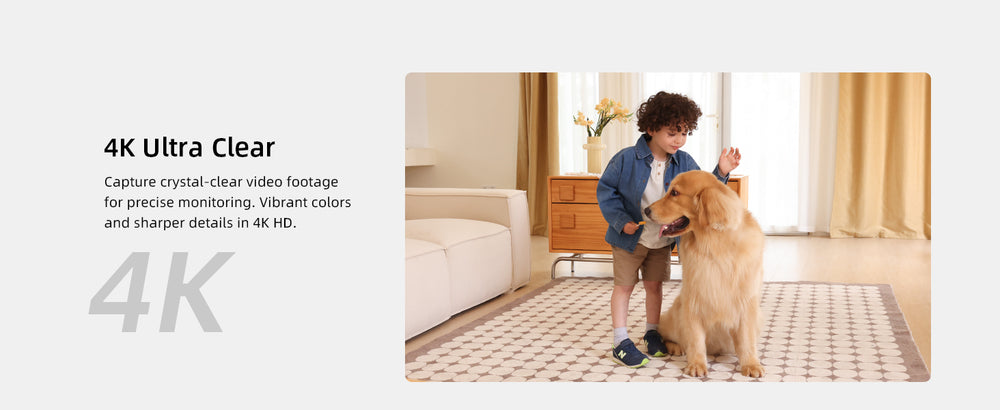 Blog - Noorio Seucrity Camera – Noorio Innovations